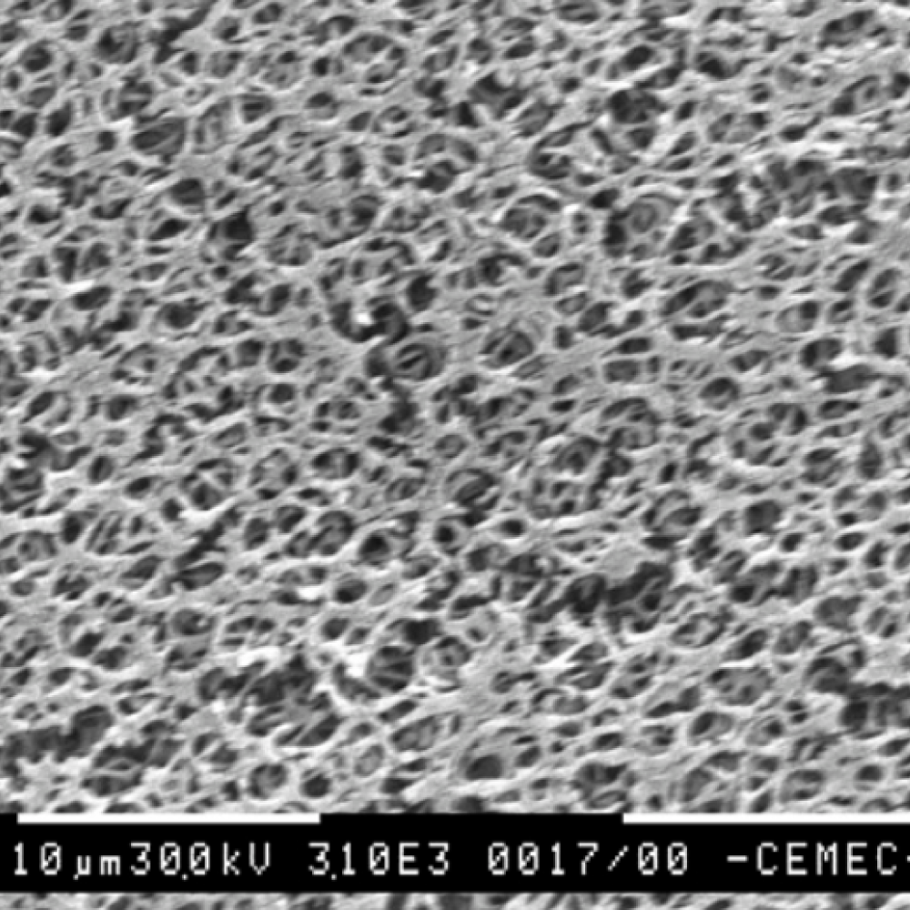 Membrana filtrante - Celulosa Regenerada | Tecquimica